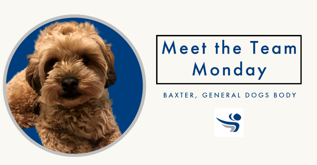 Meet Baxter Fisher - General Dogs Body